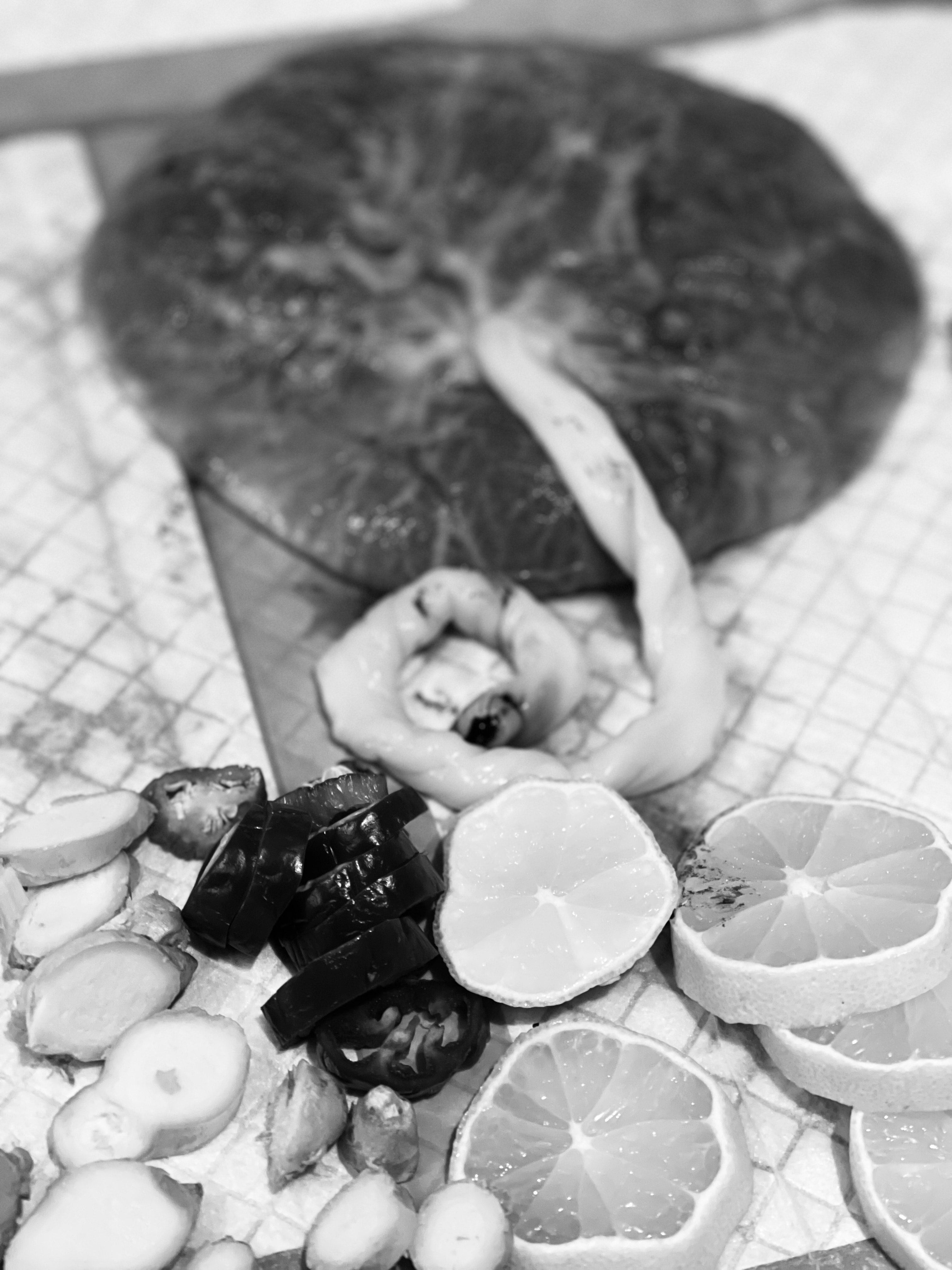 Placenta care + ceremony | Lo.holistics